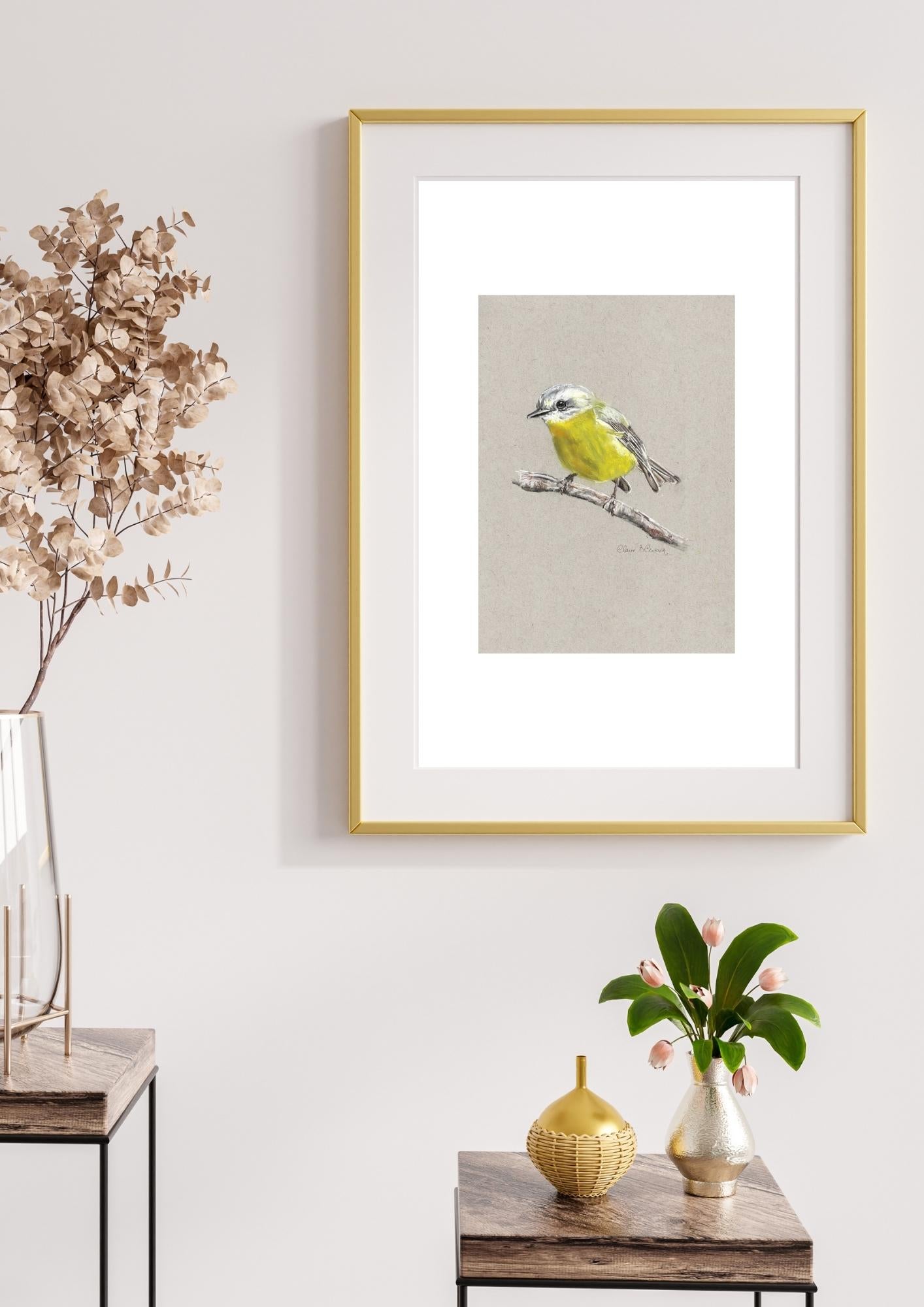 Eastern Yellow Robin Limited-Edition Fine Art Print (Signed & Numbered ...